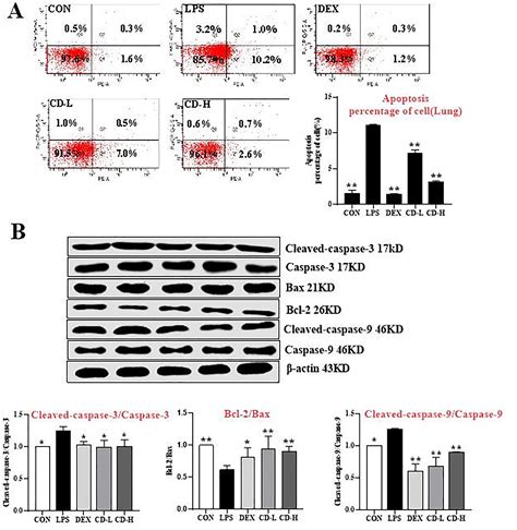Chrysosplenol D Protects Mice Against LPS Induced Acute Lung Injury By