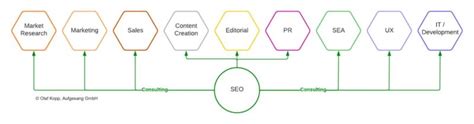 Where Is Seo In The Business Hierarchy Amplitude Marketing