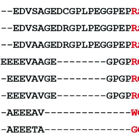 Amino Acid Sequences Of Several Kinds Of Mammalian Pomc The Putative