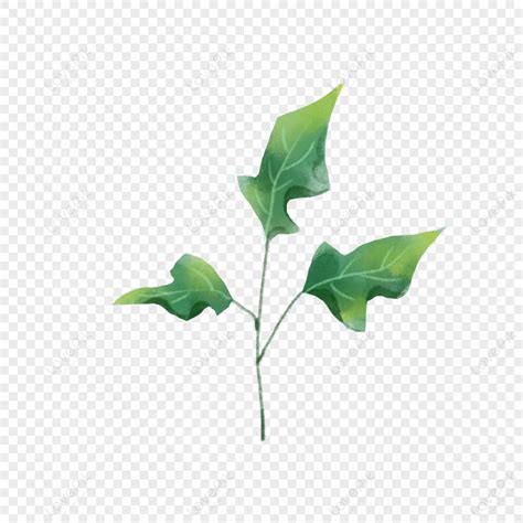귀여운 잎 만화 여름과 가을 일러스트 요소 그림 벤딩 삽화 기발한 Png 일러스트 무료 다운로드 Lovepik