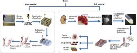 5 Bioinks For Hard And Soft Materials Adapted From Munaz A Et Al Download Scientific