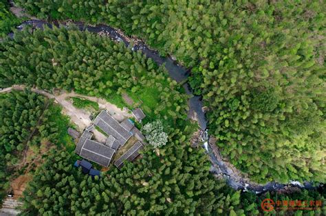 福建龙栖山国家级自然保护区生态美 中国福建三农网