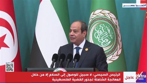 مساعد الخارجية الأسبق الرئيس السيسي أكد أهمية العلاقات العربية