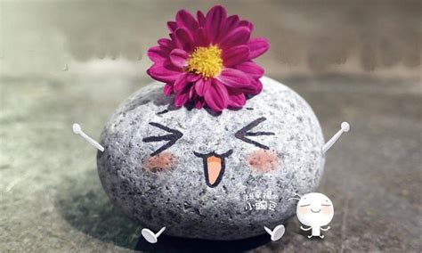 快乐的来源是什么？ 知乎