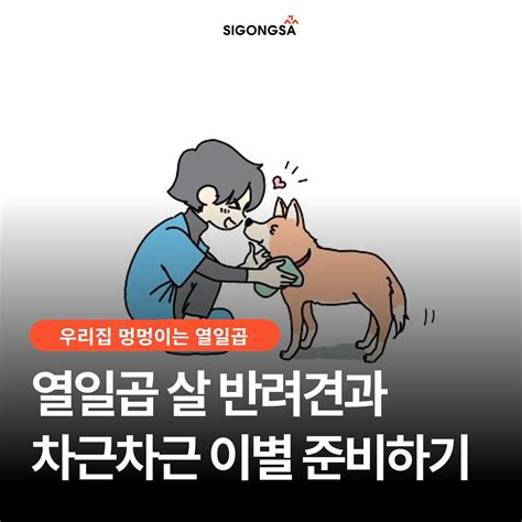 시공사 신간 어제도 오늘도 내일도 너를 사랑할 거야 너와 함께한 평범한 하루가 내겐 가장 빛나는 날들이었어 “넌 항상
