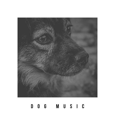 Healing Music For Dogs Album By Dog Music Spotify