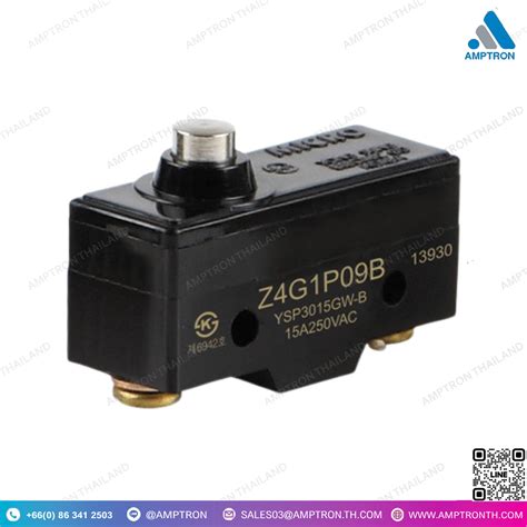 Alternating Current Micro Switch Z Type Amptron Instrument Thailand