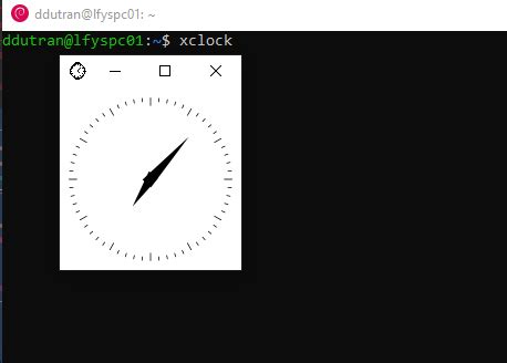 Use X11 Forwarding With WSL IIHE Wiki