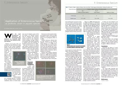 Application Of Enterococcus Faecium As Probiotic Strain In Aquatic Species Ppt