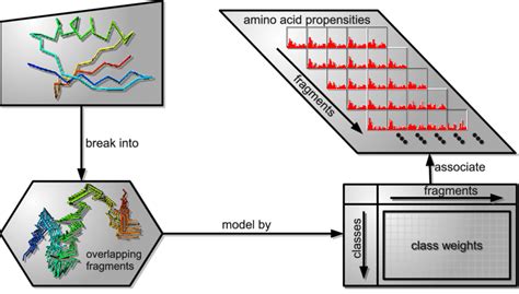 11 Preparation Steps For Sequence Optimisation Download Scientific