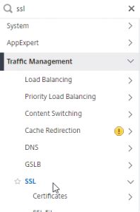 SSL Virtual Servers NetScaler Citrix ADC Carl Stalhood