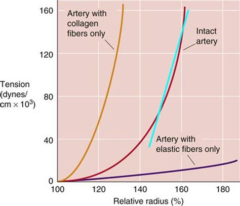 Non Constant Young Modulus Arteries Disco Elasticity · Issue 52