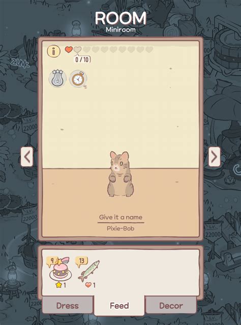 Best Pixie Bob Posts Reddit