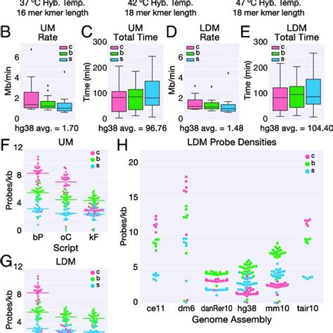Genome Scale Probe Discovery With Oligominer A Description Of Three Download Scientific
