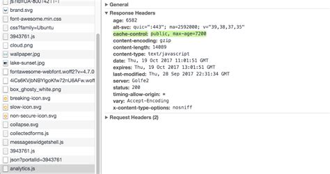 Why Is Browser Caching So Hard Trezy Com