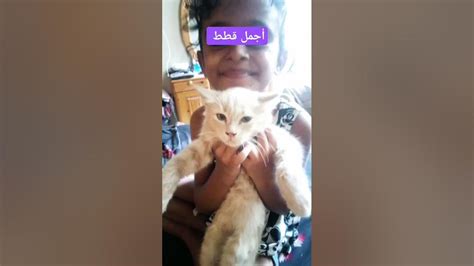 أحلى بسس كيوت 😍 Youtube