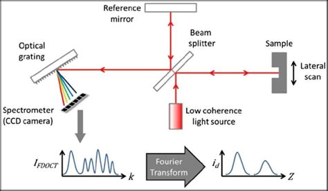 Schematic Setup Of A Fourier Domain OCT Reprinted From Su Et Al Download Scientific