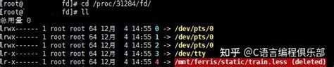 Linux 误删文件恢复命令及方法！ 知乎