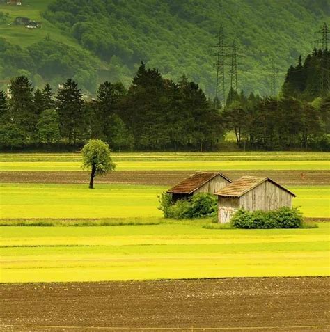 ရွုခင္းအလွမ်ား