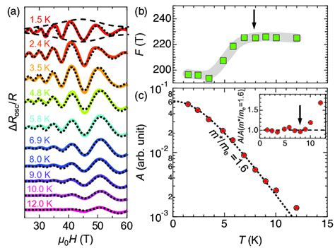 A Oscillatory Component Of The High Field Magnetoresistance ∆r Osc R