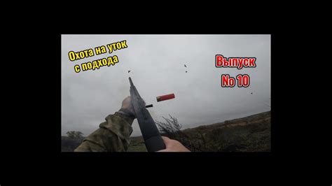 Осенняя Охота на утку с подхода №10 Закрытие сезона Youtube