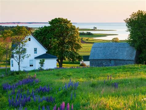 Trip Ideas Tourism Pei