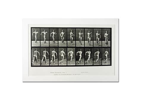 Bid Now Eadweard Muybridge 1887 Original Collotype Male Walking