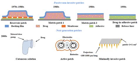 Transdermal Patches Based Drug Delivery System Cd Bioparticles