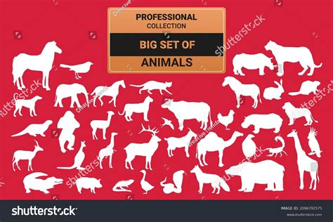 Wild Animals Vector Wild Animals Vector