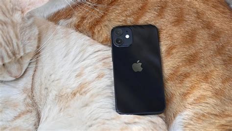 How To Convert HEIC Photos To PNG On IPhone Mac Windows Or Online PhoneRadar