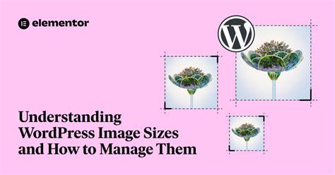Understanding WordPress Image Sizes And How To Manage Them Elementor
