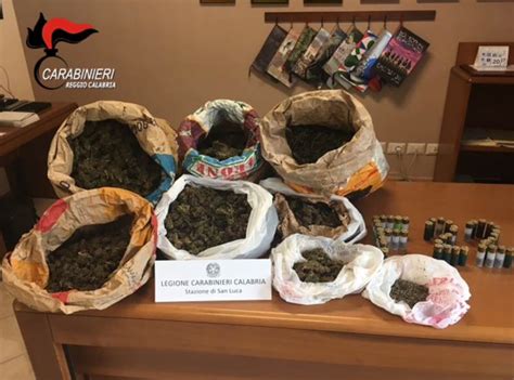 Droga E Armi Nascoste Nella Boscaglia Lintervento Dei Carabinieri