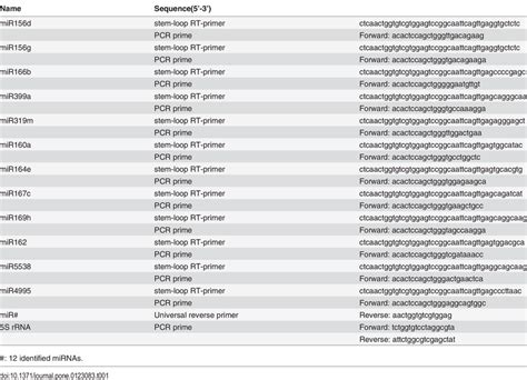 Stem Loop Rt Primers And Pcr Primers For 12 Identified Mirnas
