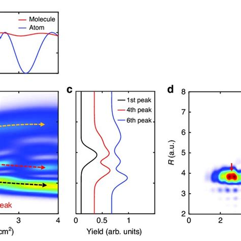 observing dynamical rabi coupling using a few cycle laser pulse a the