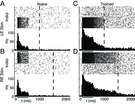 Rde With Stochastic Spiking Neurons Each Subplot Shows A Raster Plot