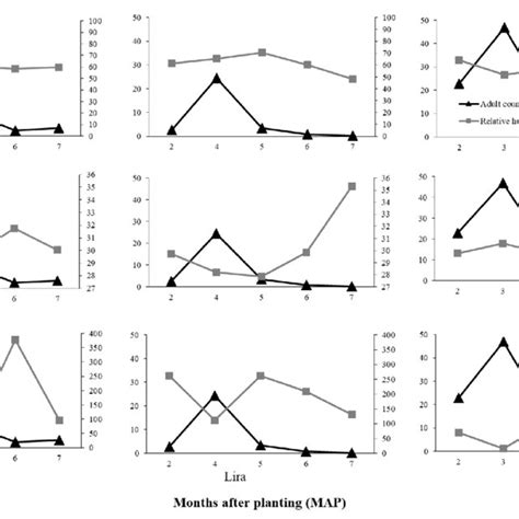 Relationships Between Mean Monthly B Tabaci Adult Counts And Monthly Download Scientific