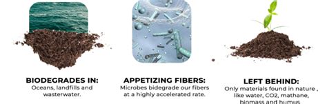 Bio Degradable Polyester Thanh Cong