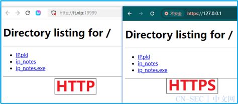 转 HTTPS CN SEC 中文网