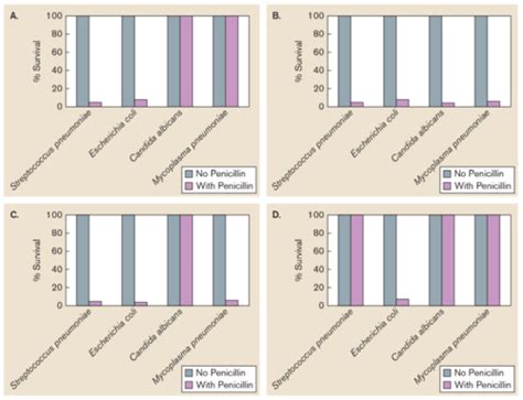 Microbiology Final Possible Mc Questions Flashcards Quizlet