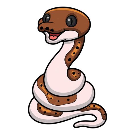 Premium Vector Cute Pied Reticulated Python Cartoon