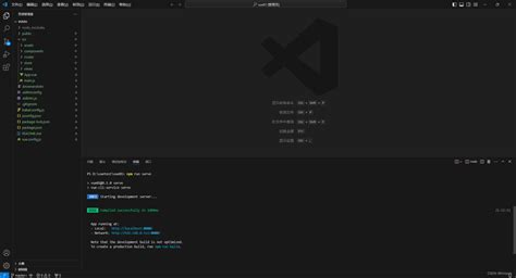 Vuevscode 快速搭建运行调试环境与发布
