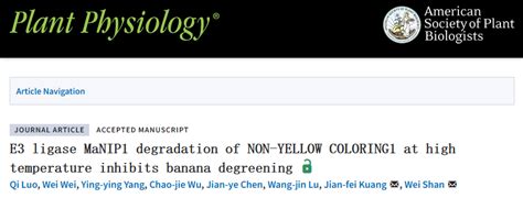 Plant Physiol 华南农业大学陈建业陆旺金团队揭示泛素化修饰调控香蕉高温青皮熟的新机制 知乎