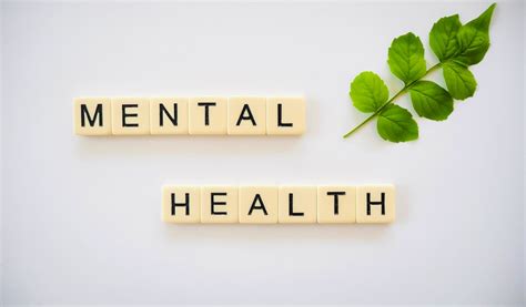 Kesehatan Mental Dan Perilaku Remaja