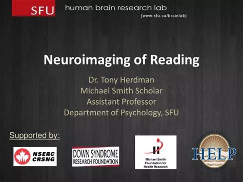 Ppt Neuroimaging Of Reading Powerpoint Presentation Free Download Id2121756