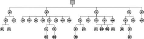 Layout With Compatible Constraint And Preference Sets Fitness Download Scientific Diagram