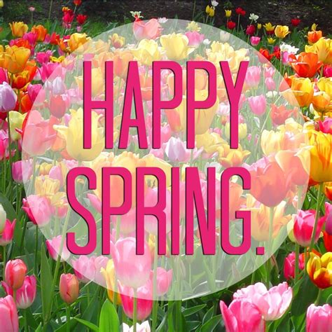 Happy Spring Pictures Photos And Images For Facebook Tumblr Pinterest And Twitter