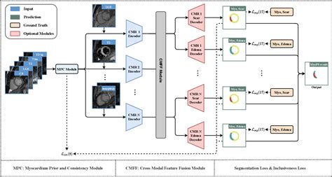 MyoPS Net Myocardial Pathology Segmentation With Flexible Combination