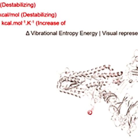 Vibrational Entropy Energy Between Wild Type And Mutant For Mutation Download Scientific