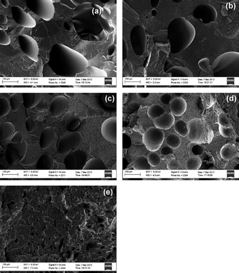 Representative SEM Images Of The Fracture Surfaces Of Microcellular
