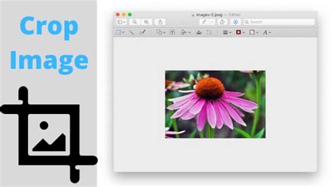 How To Crop Image On Mac Preview MacOS Ventura Monterey Earlier
